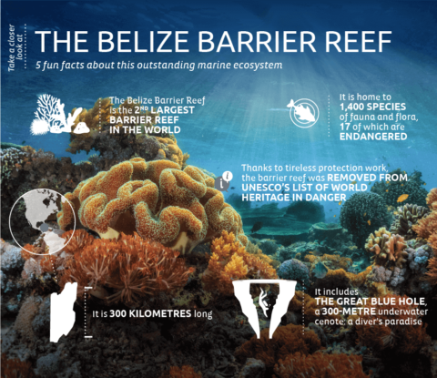 The Belize Barrier Reef | PONANT Magazine