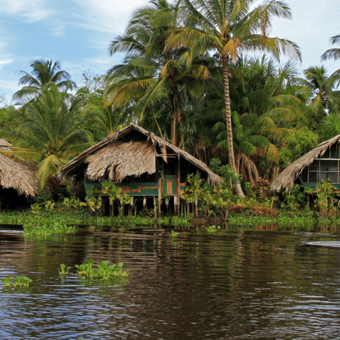The Warao: the native people of the Orinoco River | PONANT Magazine