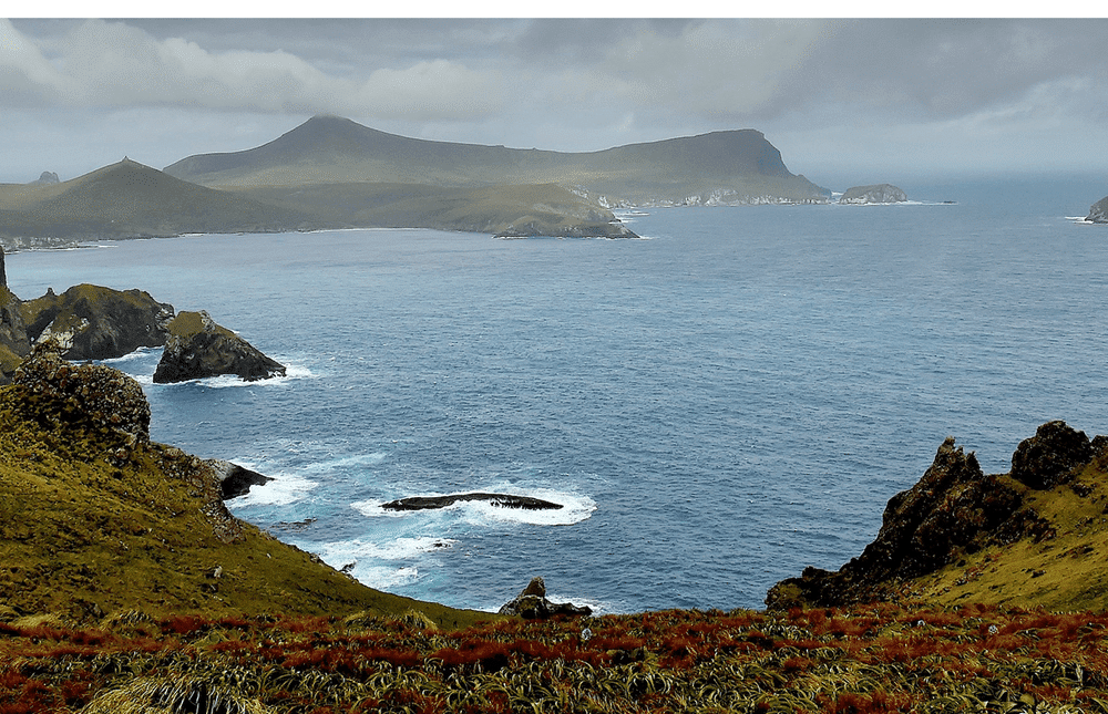 Discover the Subantarctic Islands | PONANT Magazine