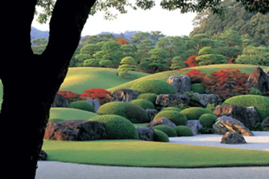 Japanese gardens: get to know everything about this traditional art
