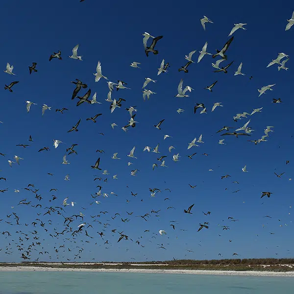 The Top 7 UNESCO Sites to Visit in Oceania | PONANT Magazine