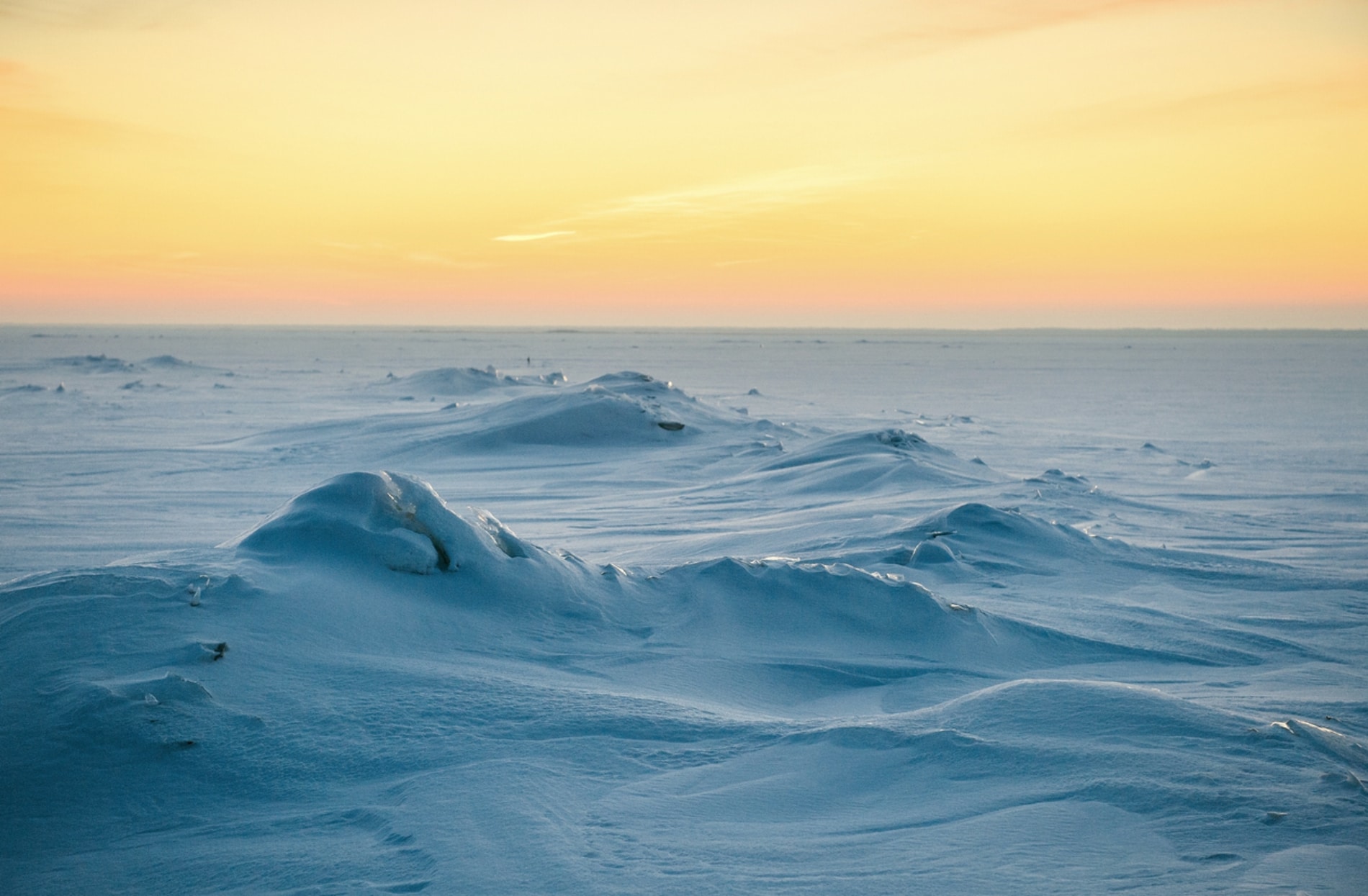 Nord Magnétique & Nord Géographique : Cap sur l’Arctique | Magazine PONANT