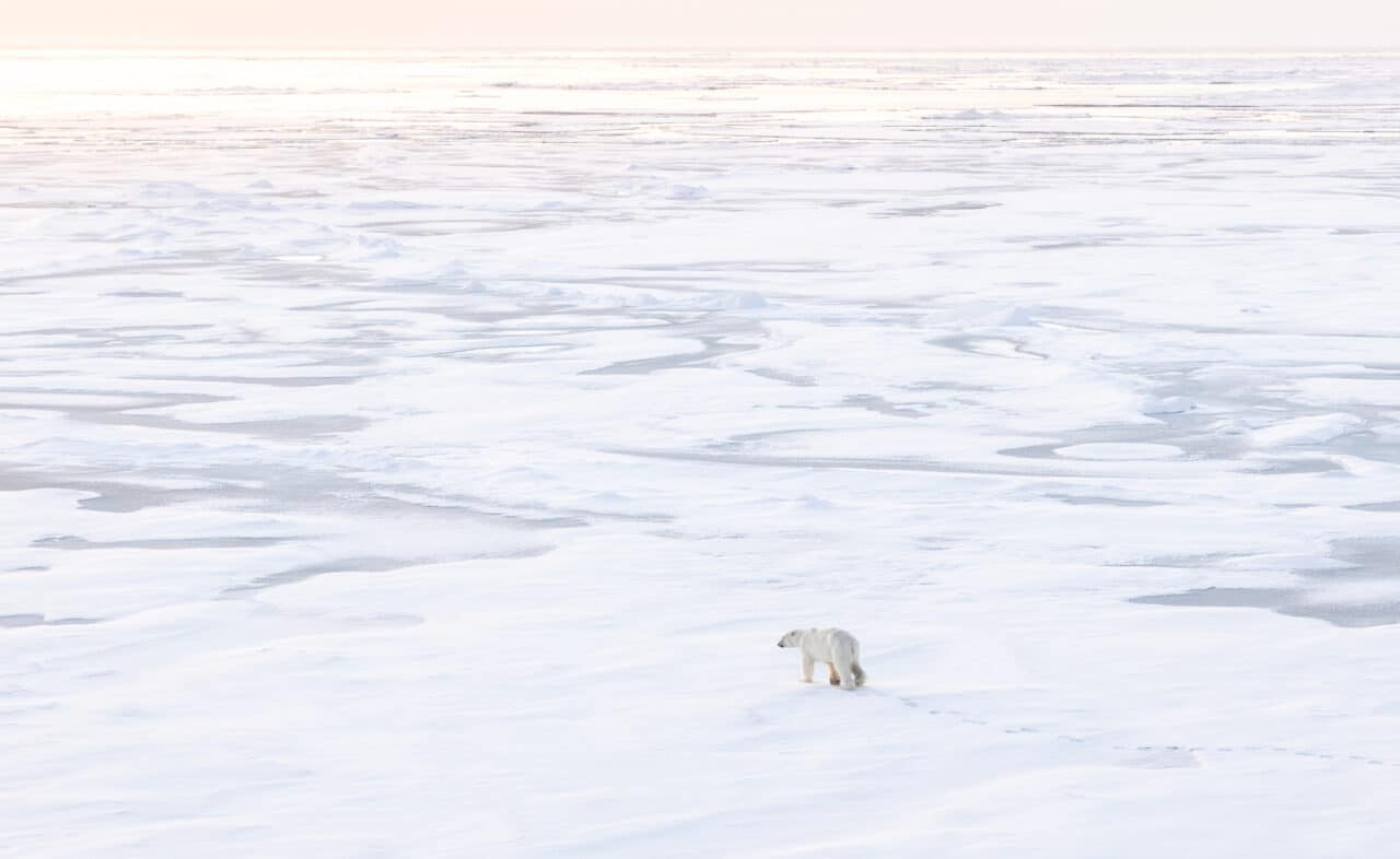 Magnetic North & Geographic North: Head for the Arctic | Magazine PONANT