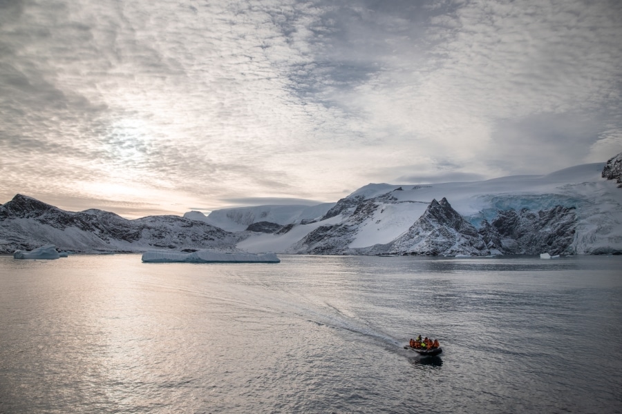Voyage en Antarctique : Découvrir les trésors des îles Orcades du Sud ...