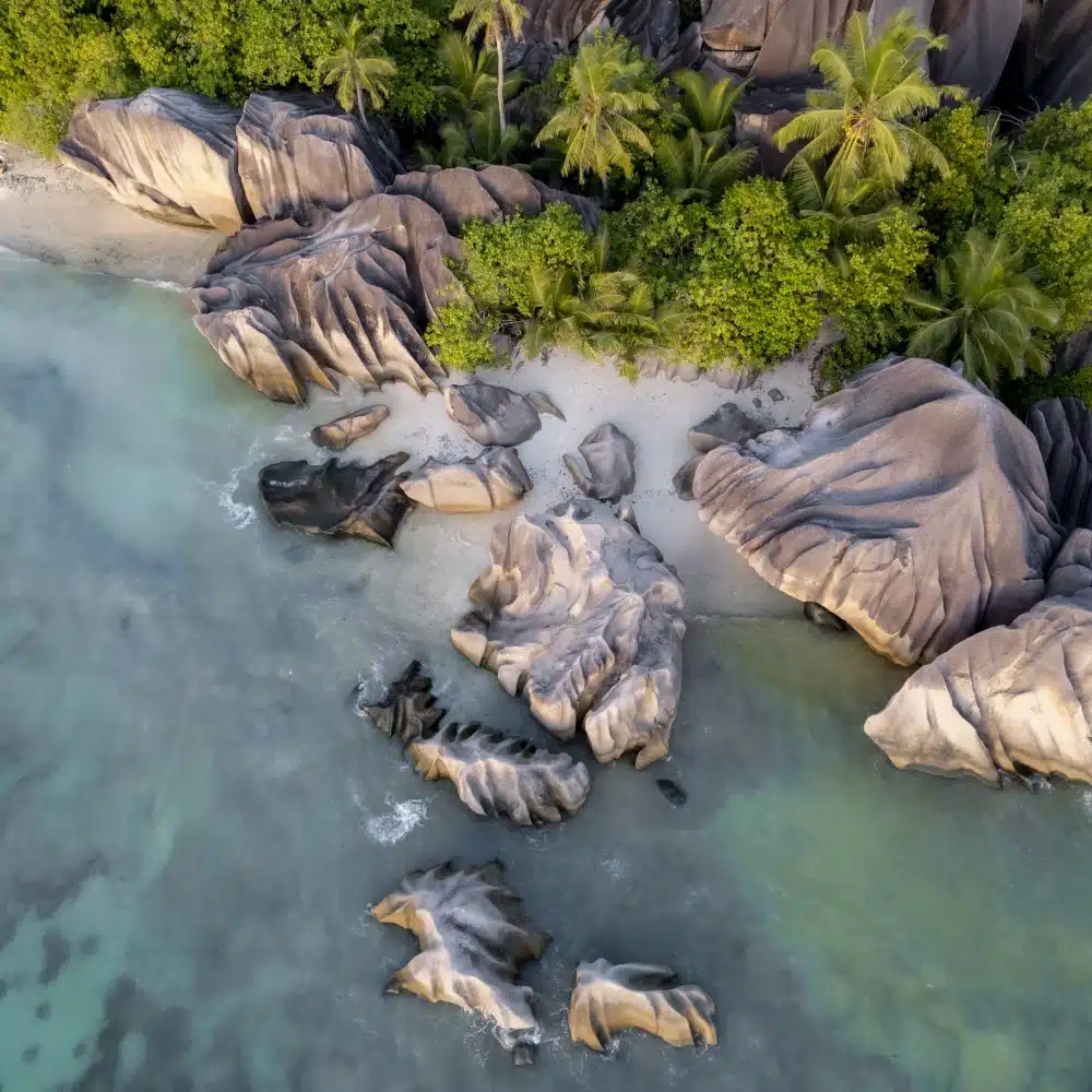 Cruise to the Seychelles: Introducing a Local Guide | Magazine PONANT